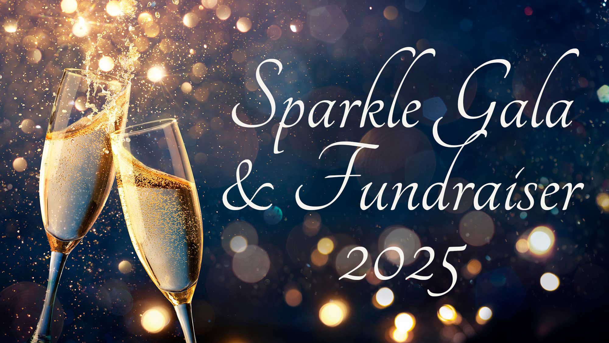 Sparkle Gala 2025